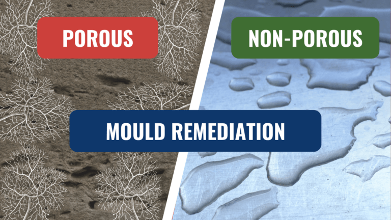 Porous vs Non-porous Materials for Mould Remediation | AllAces Cleaning ...