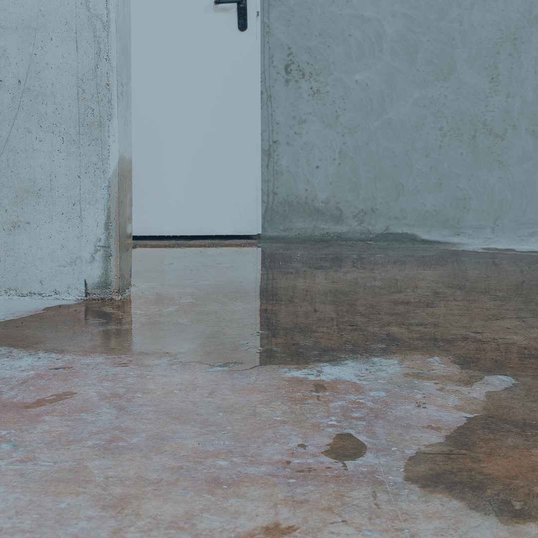 The Steps Involved in Water Damage Restoration Process