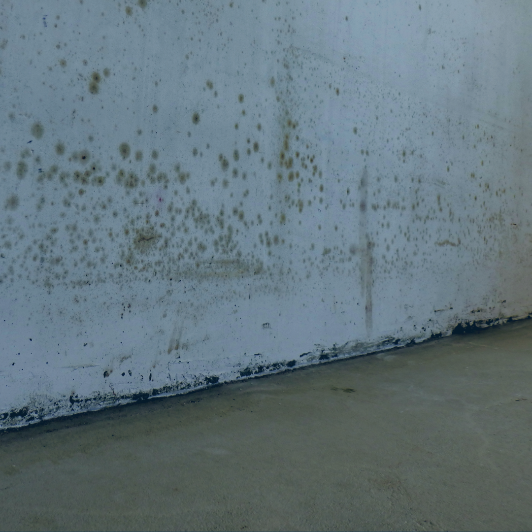 Mould Cleaning Guide: Tackling Mould Growth at Home