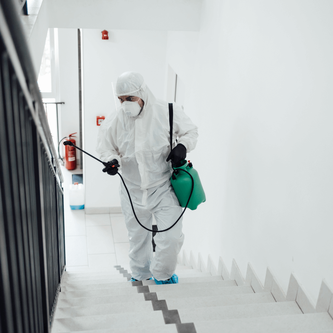 Advanced Disinfection Techniques Used by Trauma Cleaners